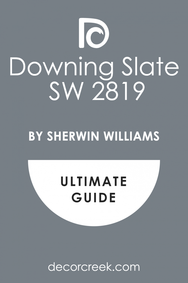 Downing Slate SW 2819 Paint Color by Sherwin Williams - DecorCreek