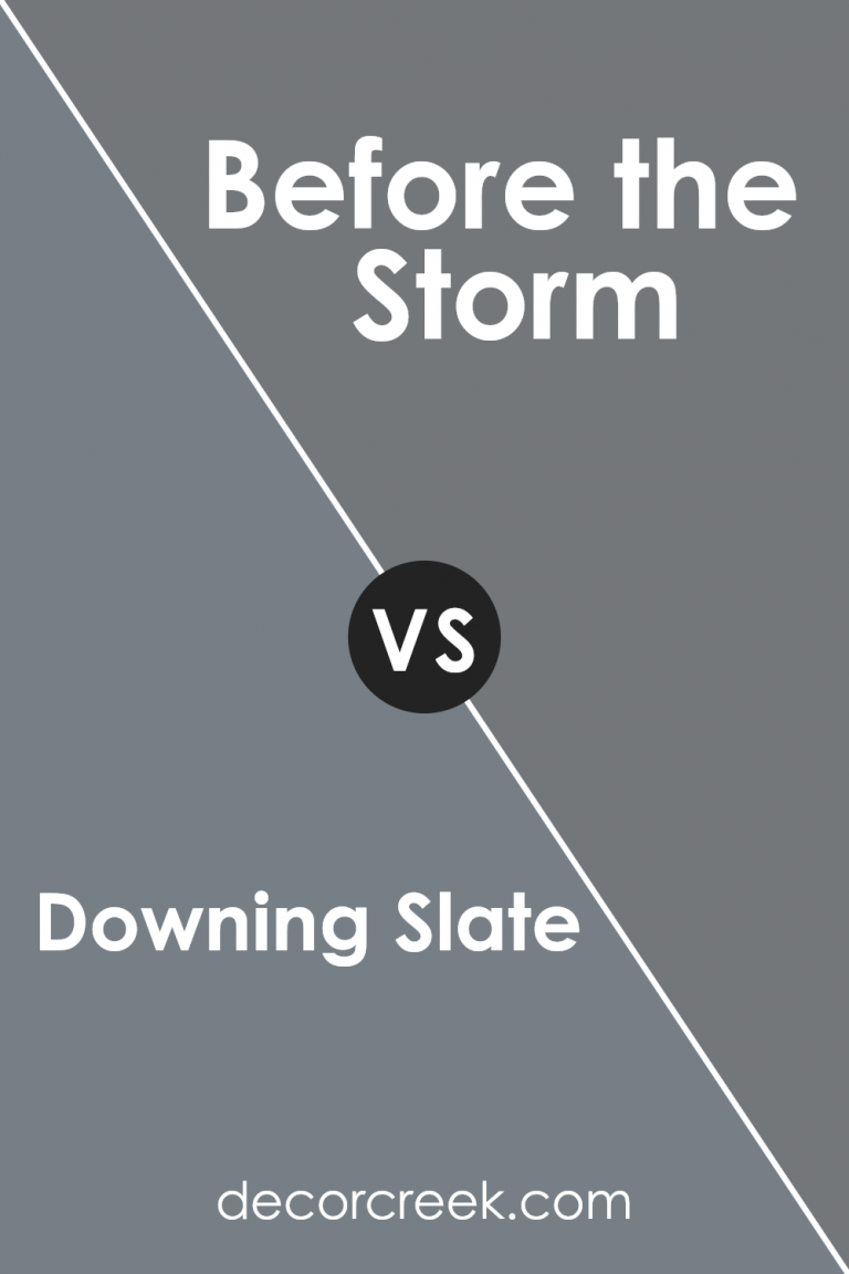 Downing Slate SW 2819 Paint Color by Sherwin Williams - DecorCreek