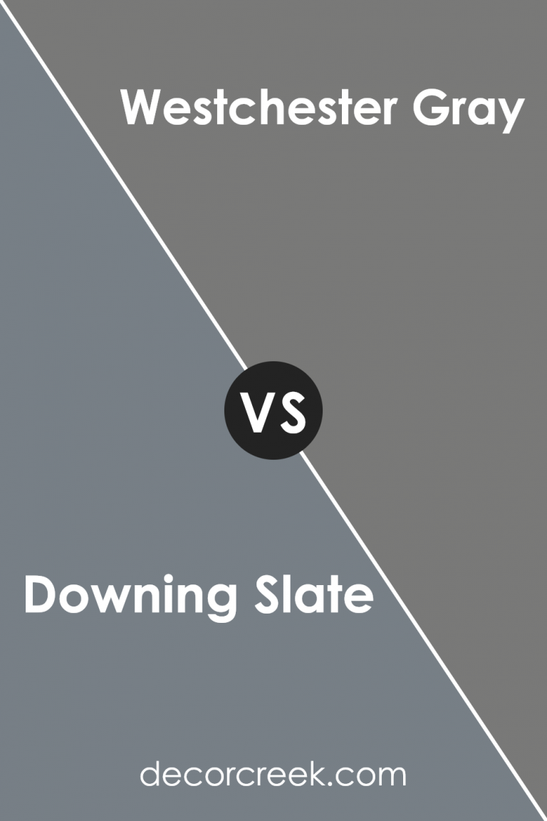 Downing Slate SW 2819 Paint Color by Sherwin Williams - DecorCreek
