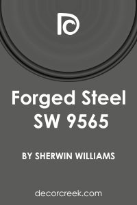 Forged Steel SW 9565 Paint Color by Sherwin Williams - DecorCreek