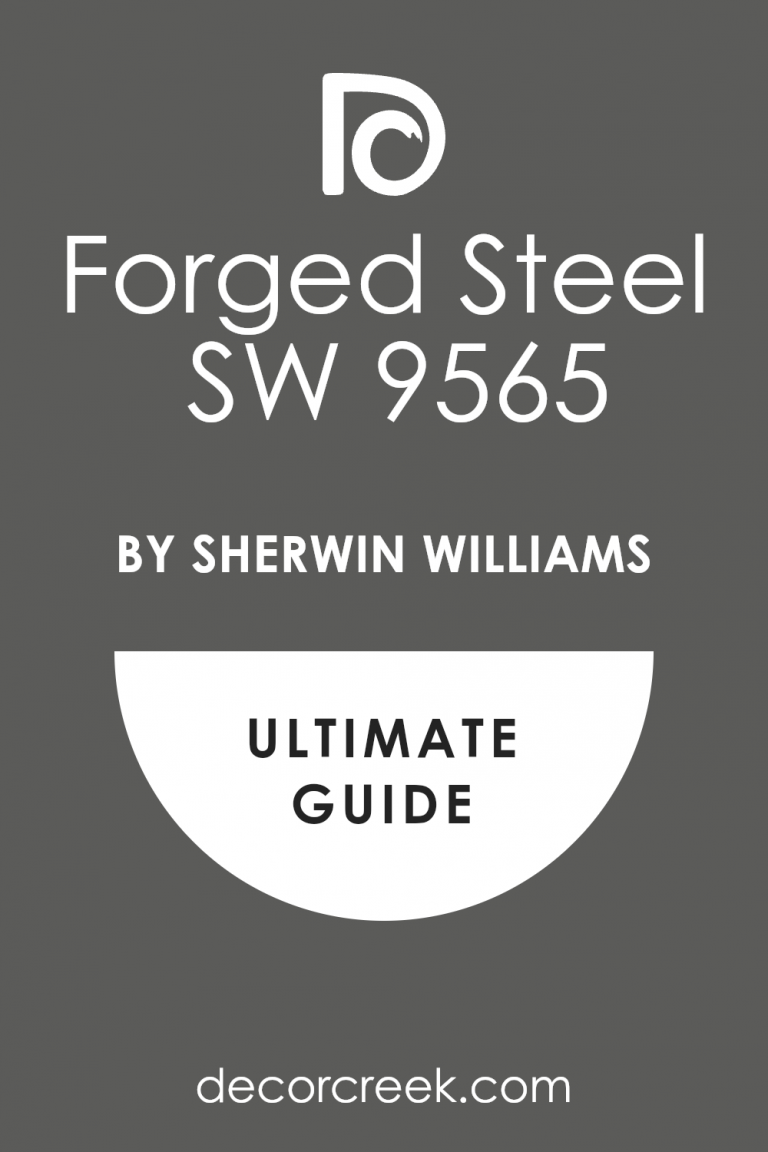 Forged Steel SW 9565 Paint Color by Sherwin Williams - DecorCreek