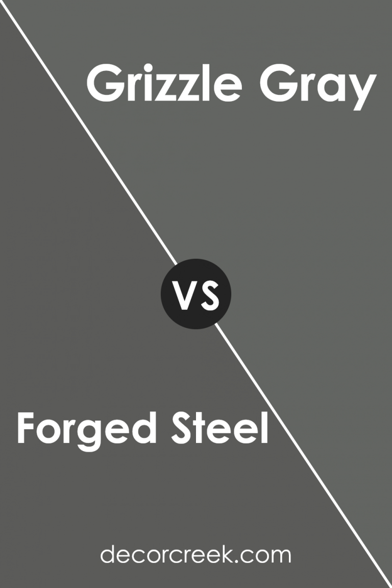 Forged Steel SW 9565 Paint Color by Sherwin Williams - DecorCreek