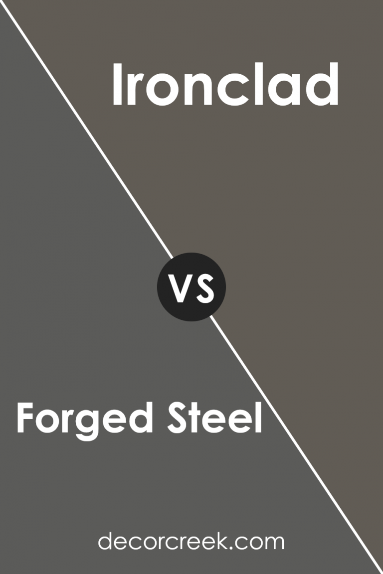 Forged Steel SW 9565 Paint Color by Sherwin Williams - DecorCreek