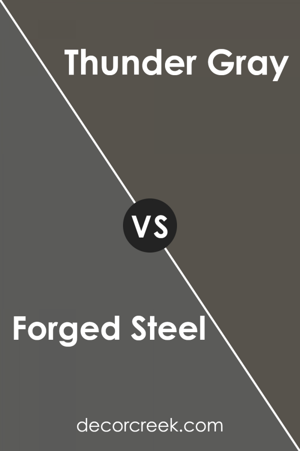 Forged Steel SW 9565 Paint Color by Sherwin Williams - DecorCreek