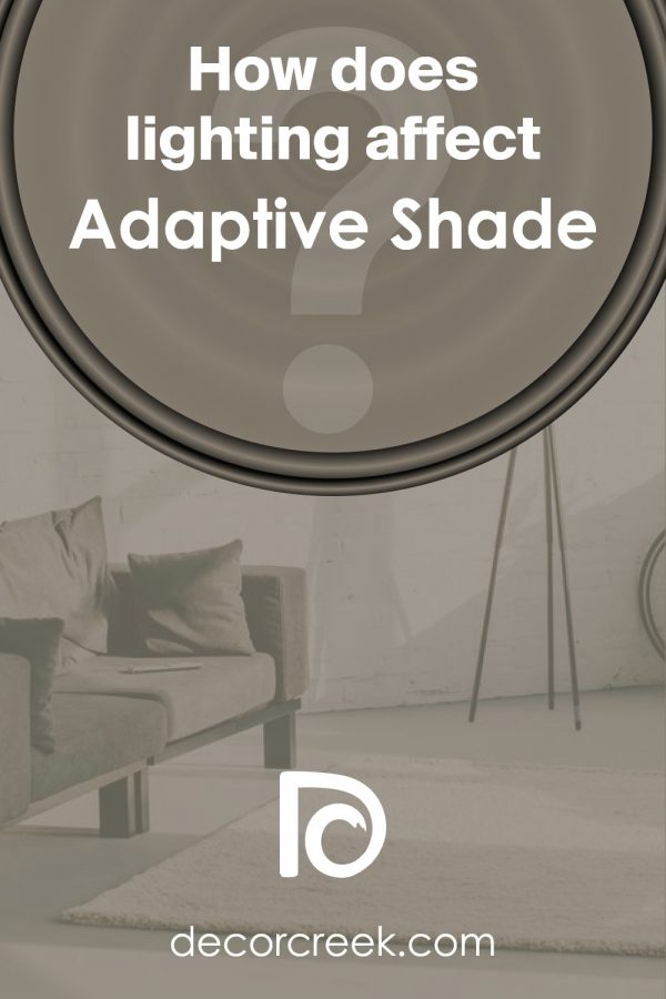 Adaptive Shade SW 7053 Paint Color by Sherwin Williams - DecorCreek