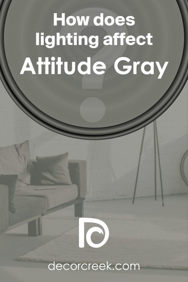 Attitude Gray SW 7060 Paint Color by Sherwin Williams - DecorCreek