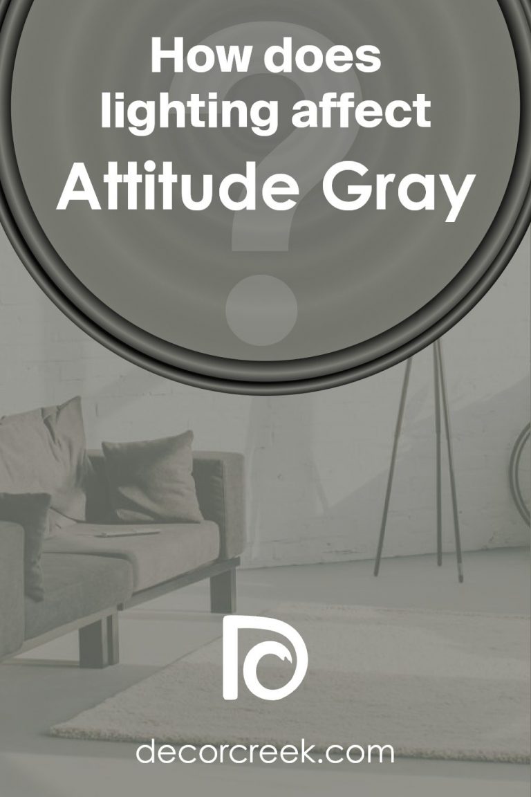 Attitude Gray SW 7060 Paint Color by Sherwin Williams - DecorCreek