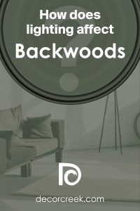 Backwoods 469 Paint Color by Benjamin Moore - DecorCreek