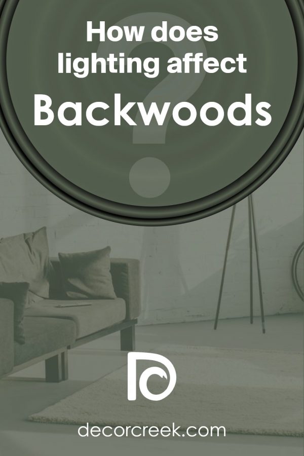 Backwoods 469 Paint Color by Benjamin Moore - DecorCreek