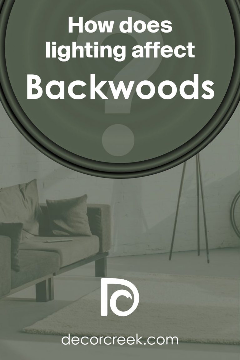 Backwoods 469 Paint Color by Benjamin Moore - DecorCreek
