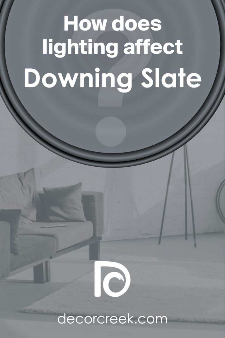 Downing Slate SW 2819 Paint Color by Sherwin Williams - DecorCreek