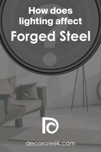 Forged Steel SW 9565 Paint Color by Sherwin Williams - DecorCreek