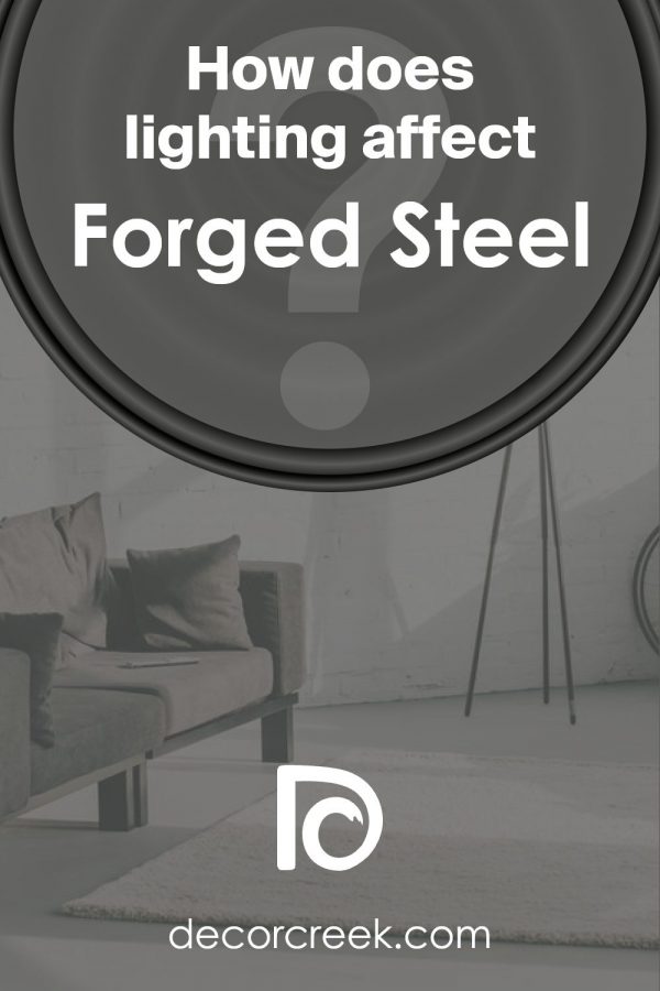 Forged Steel SW 9565 Paint Color by Sherwin Williams - DecorCreek