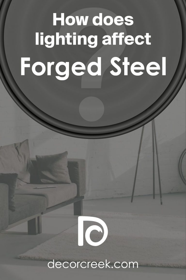 Forged Steel SW 9565 Paint Color by Sherwin Williams - DecorCreek