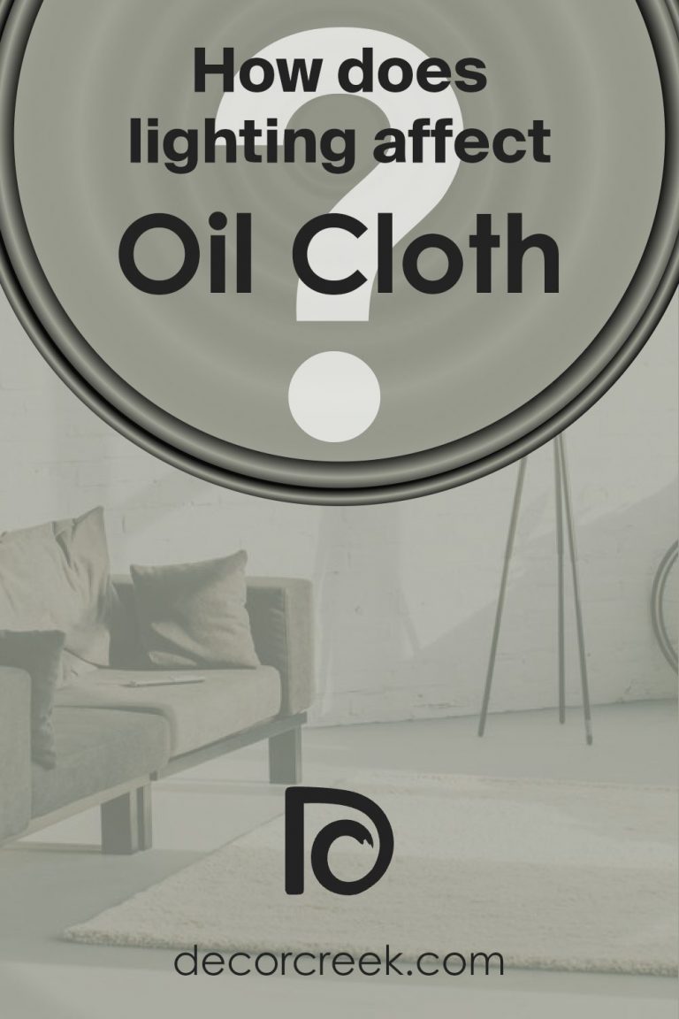 Oil Cloth CSP-760 Paint Color by Benjamin Moore - DecorCreek