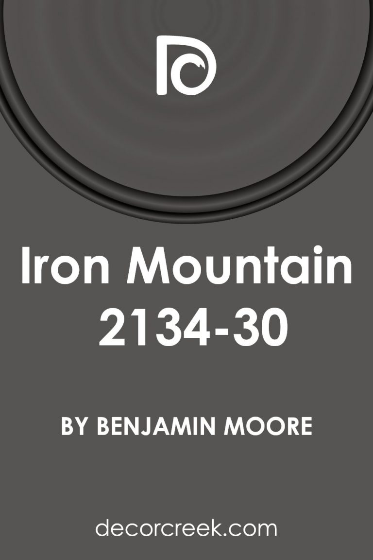 Iron Mountain 2134-30 Paint Color by Benjamin Moore - DecorCreek