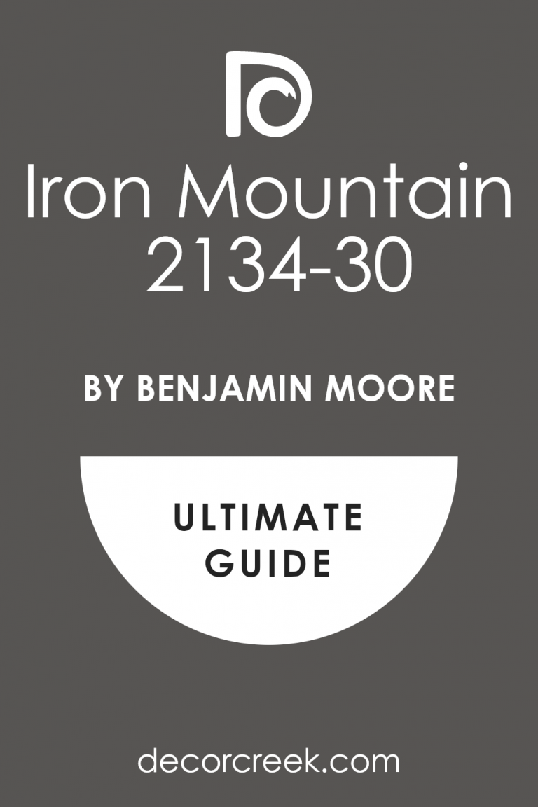 Iron Mountain 2134-30 Paint Color by Benjamin Moore - DecorCreek