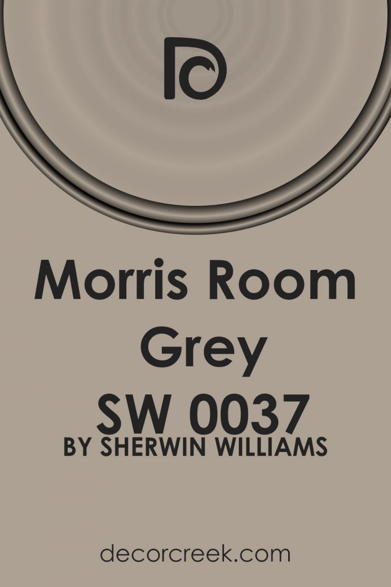 Morris Room Grey SW 0037 Paint Color by Sherwin Williams - DecorCreek