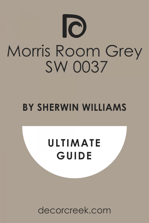 Morris Room Grey SW 0037 Paint Color by Sherwin Williams - DecorCreek