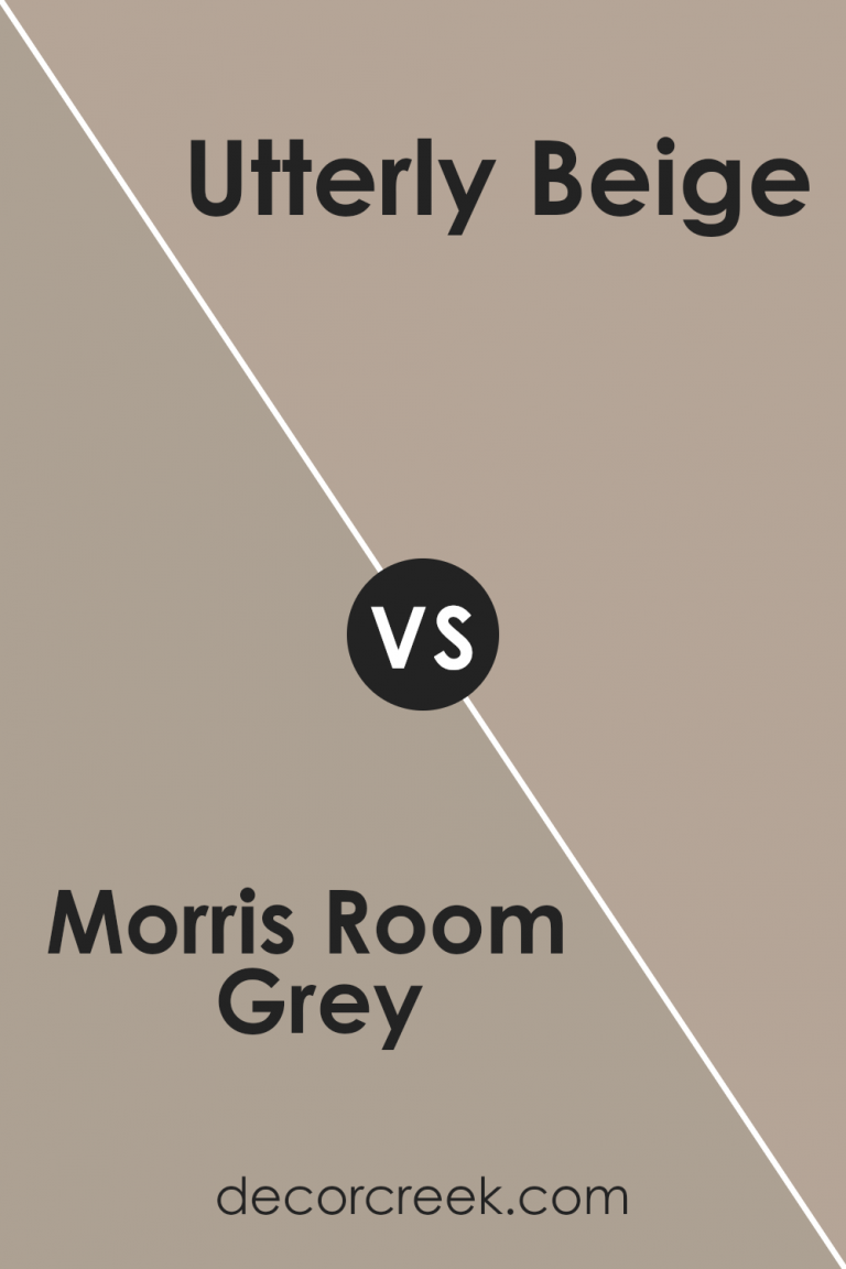 Morris Room Grey SW 0037 Paint Color by Sherwin Williams - DecorCreek