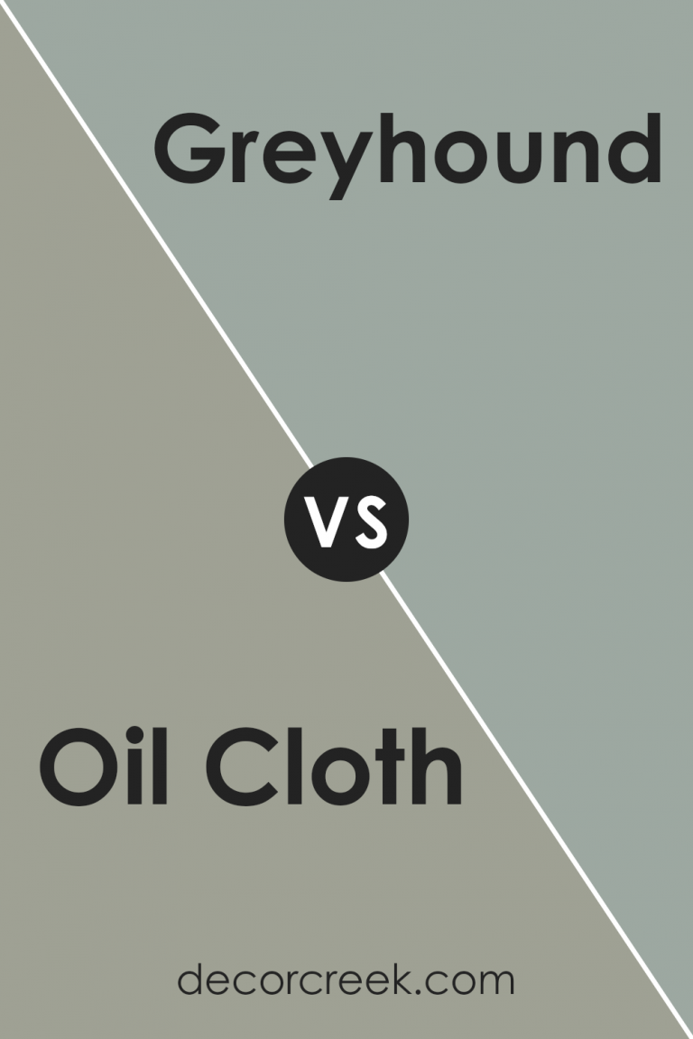 Oil Cloth CSP-760 Paint Color by Benjamin Moore - DecorCreek