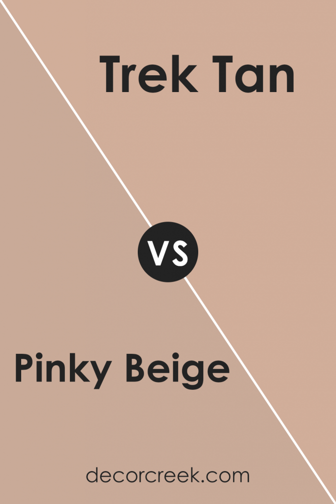 Pinky Beige SW 0079 Paint Color by Sherwin Williams - DecorCreek