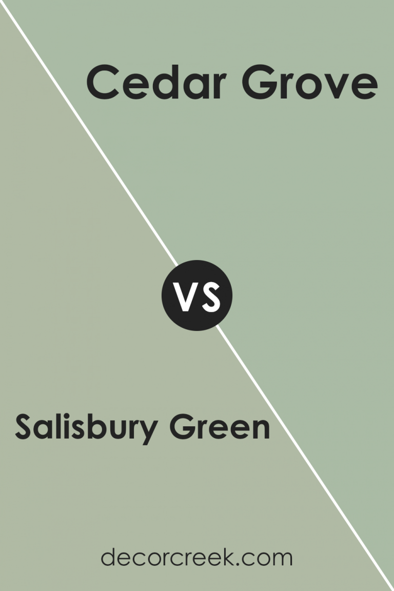 Salisbury Green HC-139 Paint Color by Benjamin Moore - DecorCreek