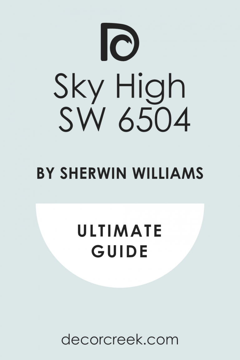 Sky High SW 6504 Paint Color by Sherwin Williams - DecorCreek