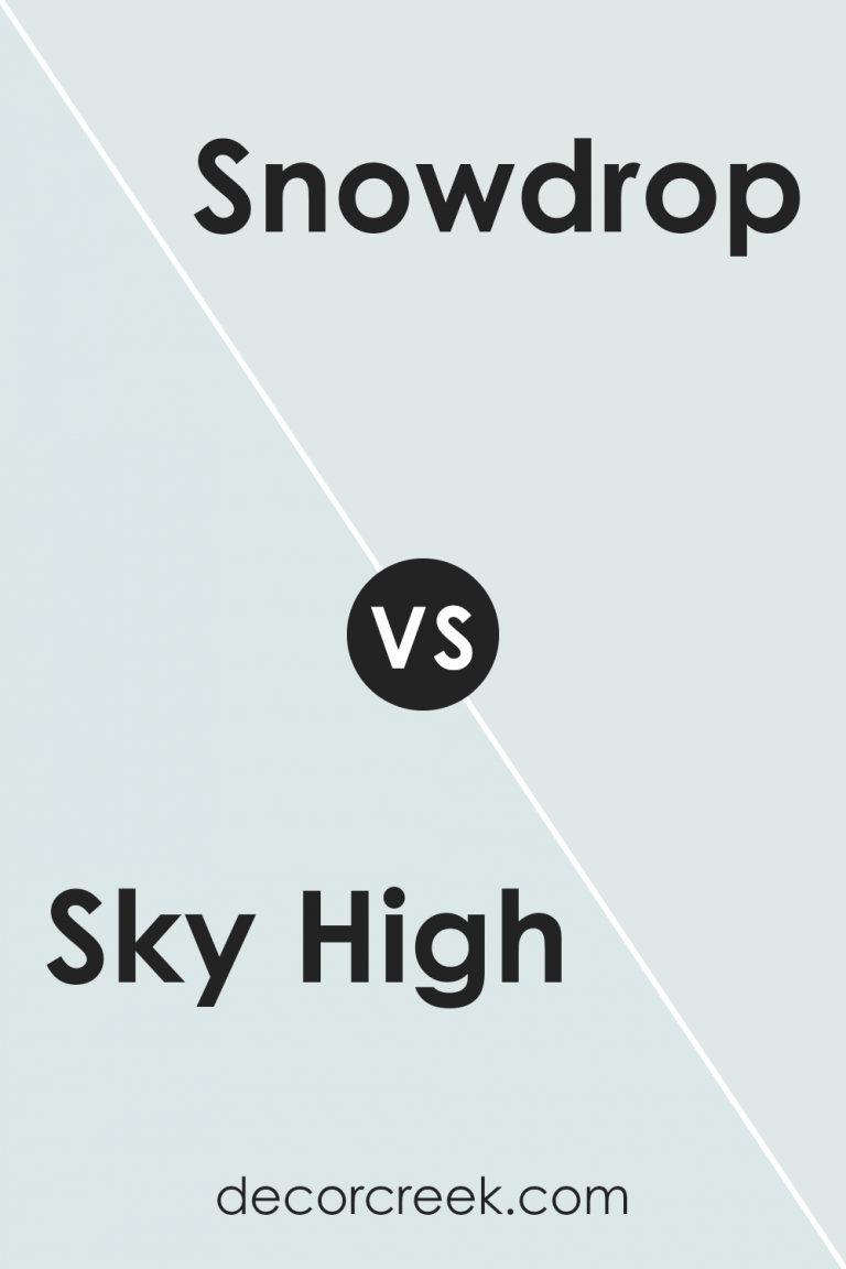 Sky High SW 6504 Paint Color by Sherwin Williams - DecorCreek