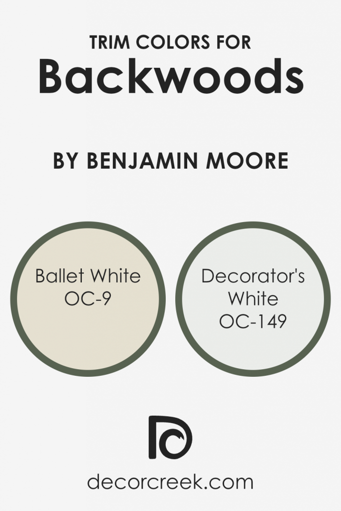 Backwoods 469 Paint Color by Benjamin Moore - DecorCreek