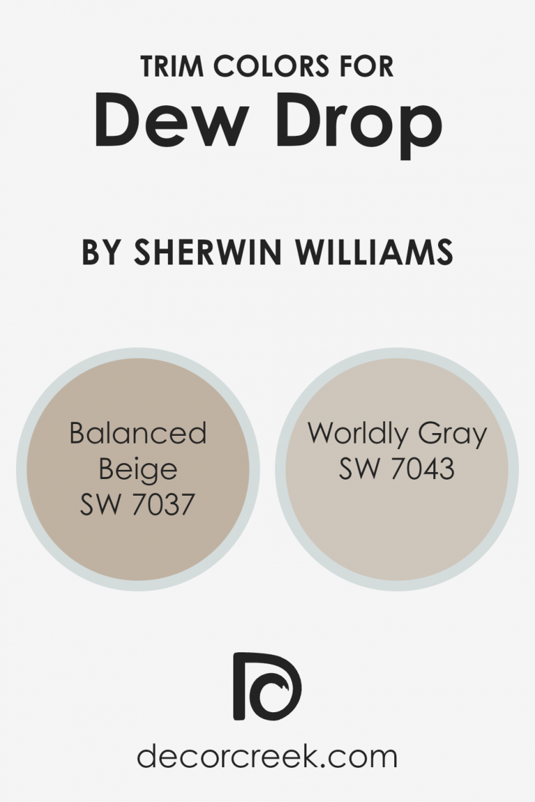Dew Drop SW 9641 Paint Color by Sherwin Williams - DecorCreek