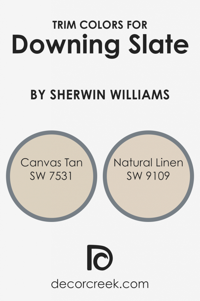 Downing Slate SW 2819 Paint Color by Sherwin Williams - DecorCreek