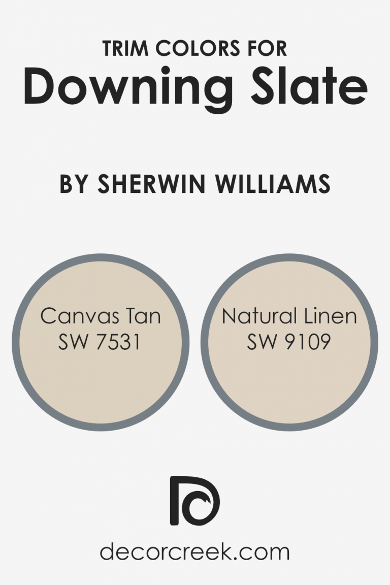 Downing Slate SW 2819 Paint Color by Sherwin Williams - DecorCreek
