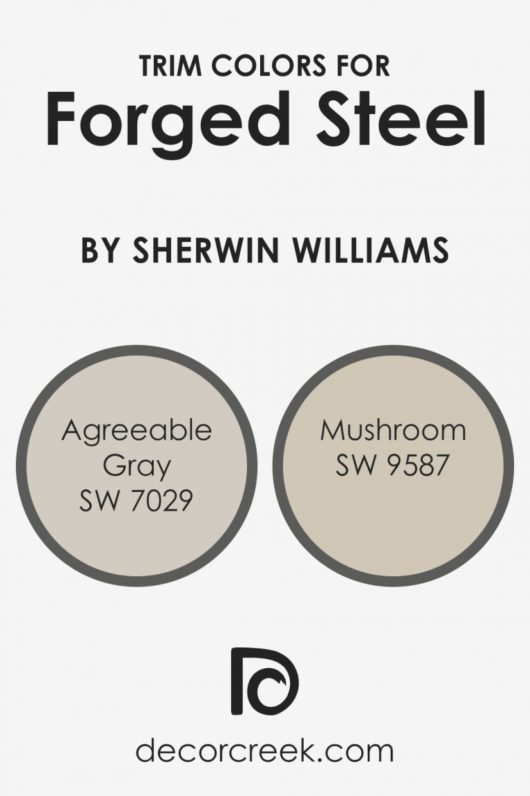 Forged Steel SW 9565 Paint Color by Sherwin Williams - DecorCreek