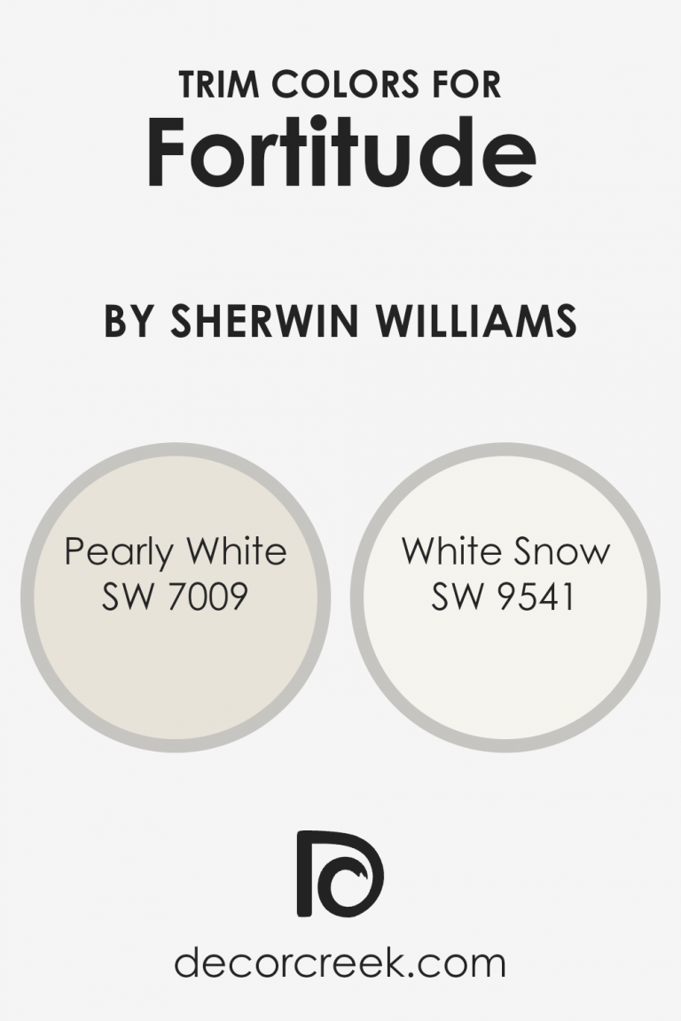 Fortitude SW 9562 Paint Color by Sherwin Williams - DecorCreek