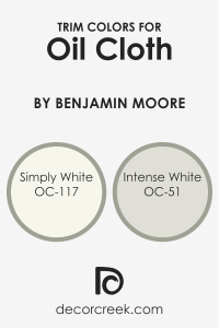 Oil Cloth CSP-760 Paint Color by Benjamin Moore - DecorCreek
