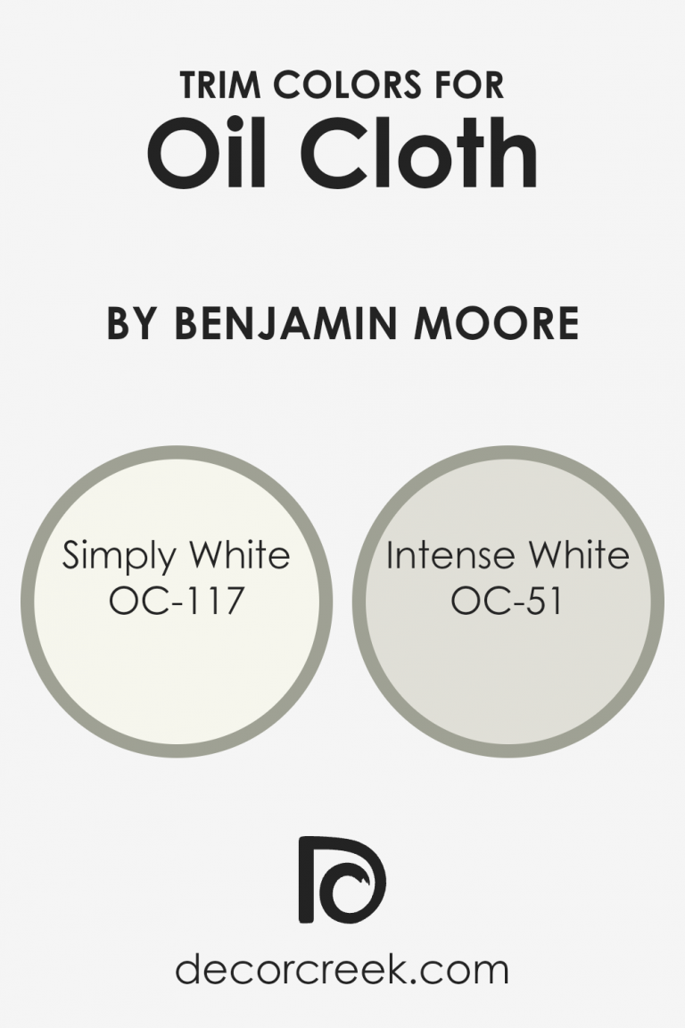 Oil Cloth CSP-760 Paint Color by Benjamin Moore - DecorCreek