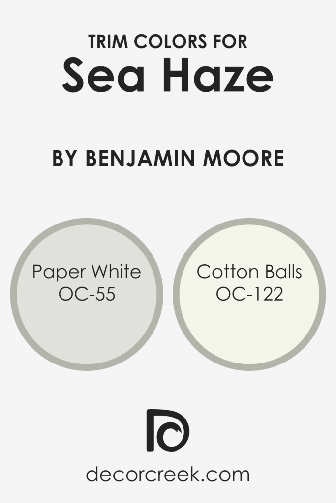 Sea Haze 2137-50 Paint Color by Benjamin Moore - DecorCreek