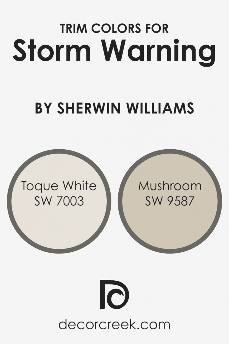 Storm Warning SW 9555 Paint Color by Sherwin Williams - DecorCreek