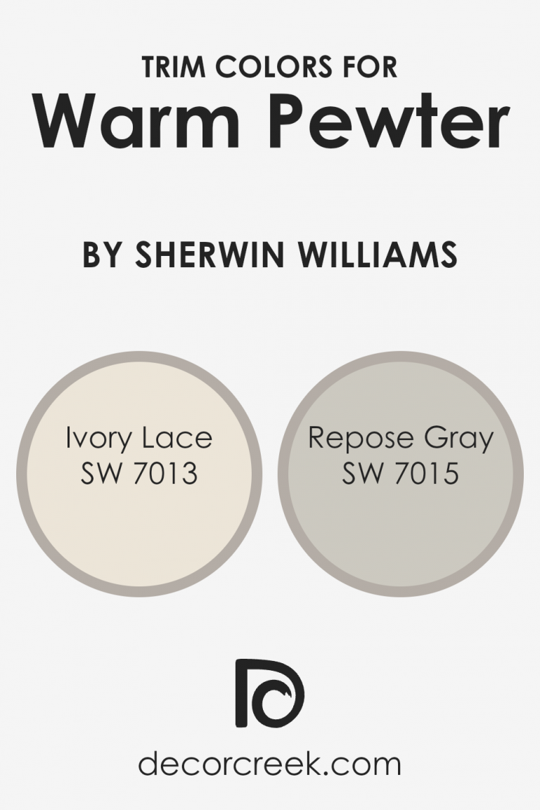Warm Pewter SW 9572 Paint Color by Sherwin Williams - DecorCreek