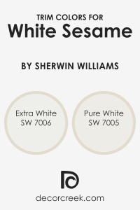White Sesame SW 9586 Paint Color by Sherwin Williams - DecorCreek