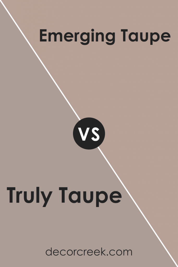 Truly Taupe SW 6038 Paint Color by Sherwin Williams - DecorCreek