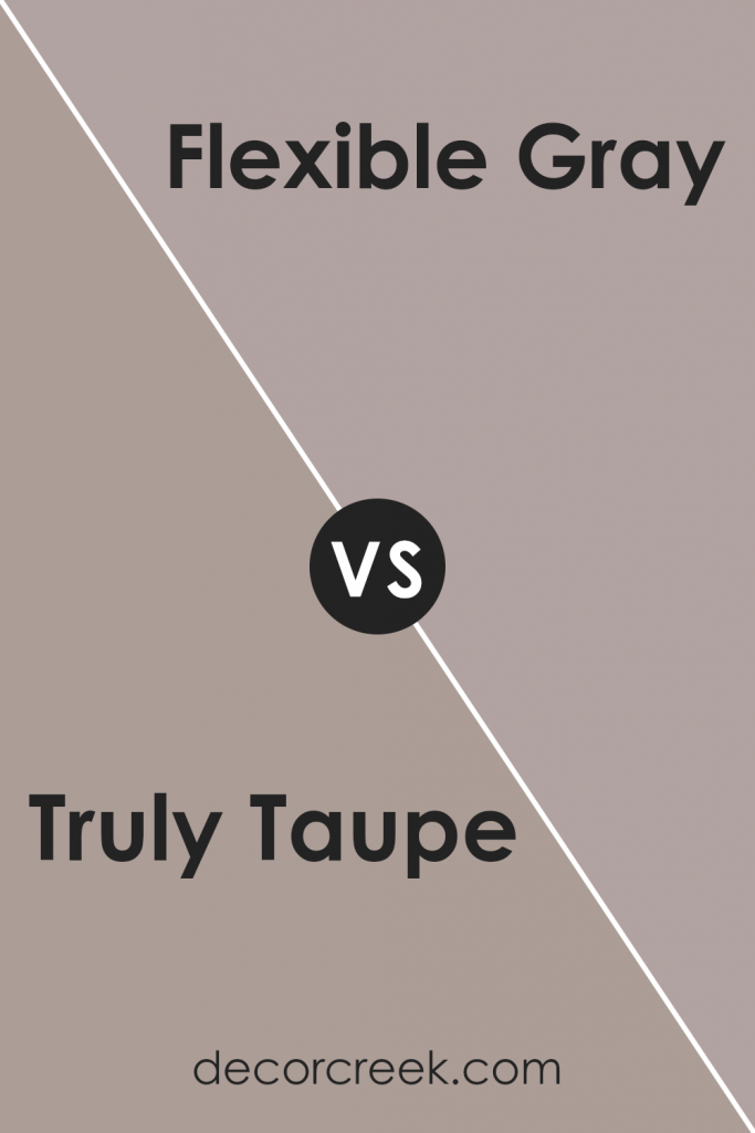 Truly Taupe SW 6038 Paint Color by Sherwin Williams - DecorCreek