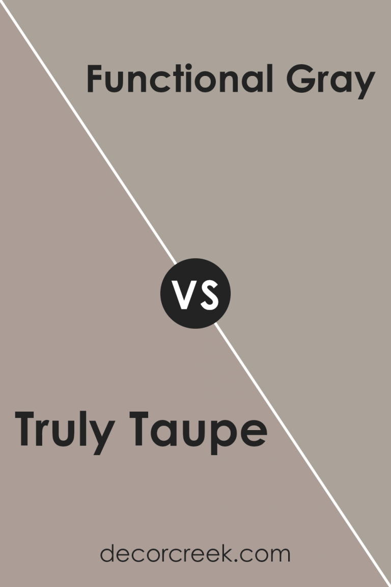 Truly Taupe SW 6038 Paint Color by Sherwin Williams - DecorCreek