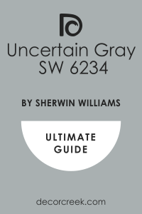 Uncertain Gray SW 6234 Paint Color by Sherwin Williams - DecorCreek