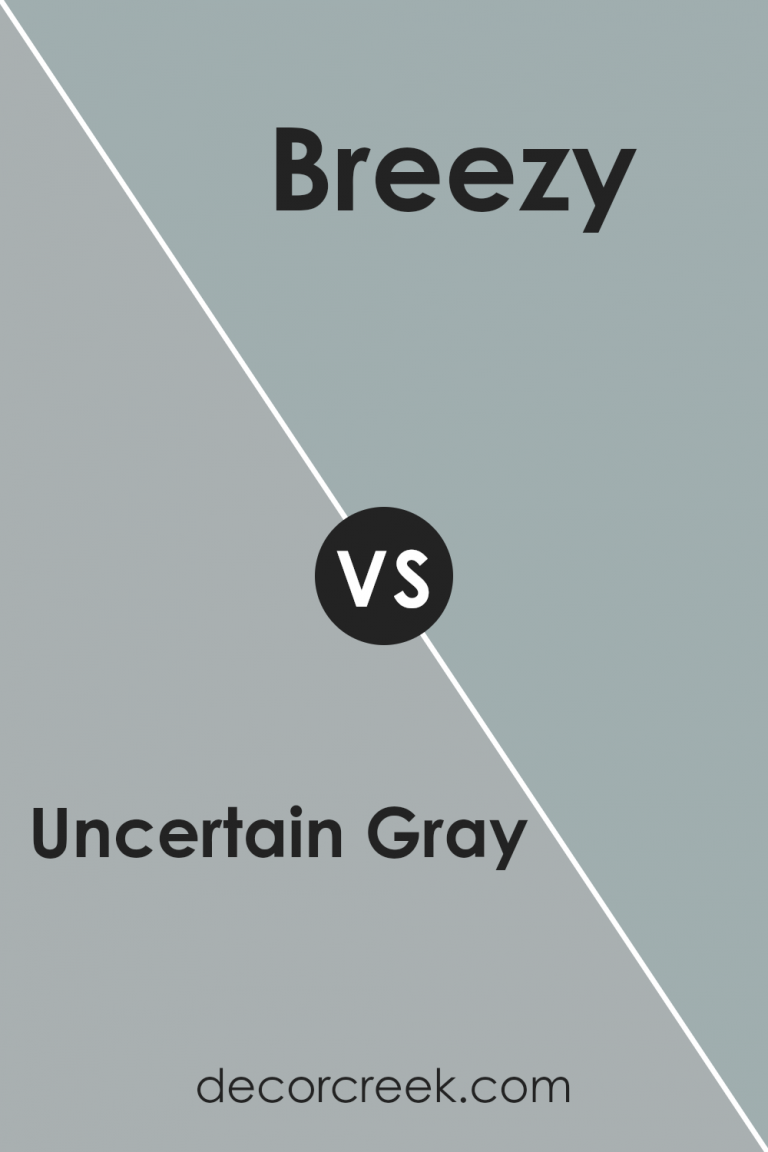 Uncertain Gray SW 6234 Paint Color by Sherwin Williams - DecorCreek