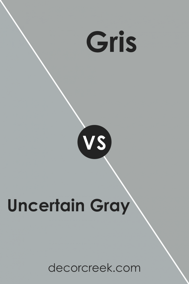 Uncertain Gray SW 6234 Paint Color by Sherwin Williams - DecorCreek