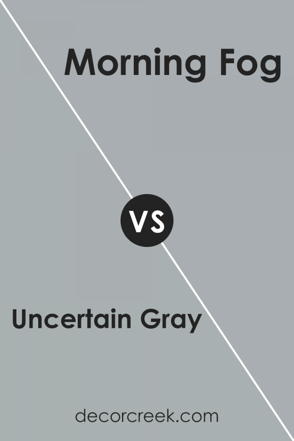 Uncertain Gray SW 6234 Paint Color by Sherwin Williams - DecorCreek