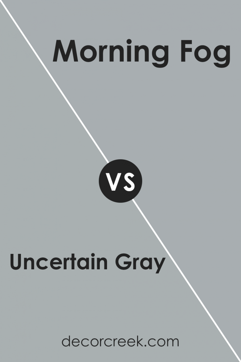 Uncertain Gray SW 6234 Paint Color by Sherwin Williams - DecorCreek