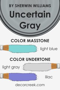 Uncertain Gray SW 6234 Paint Color by Sherwin Williams - DecorCreek